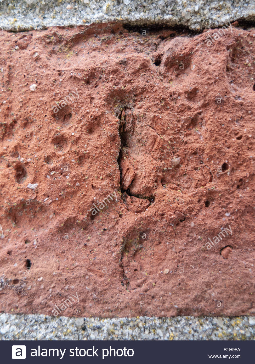 Pocked Stock Photos & Pocked Stock Images - Alamy