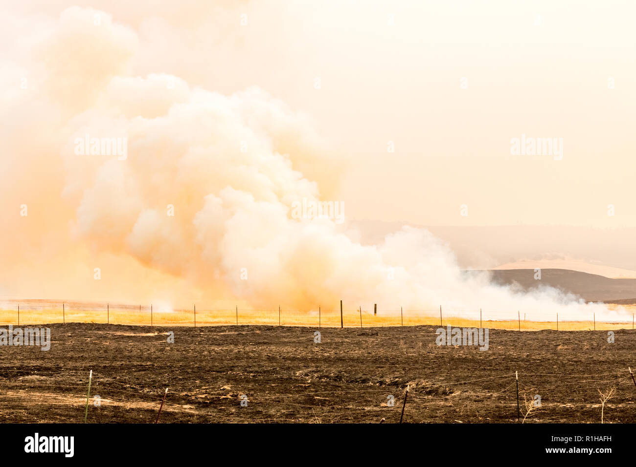 Wildland Fire Damage Firefighters Fighting Fire California Stock Photo ...