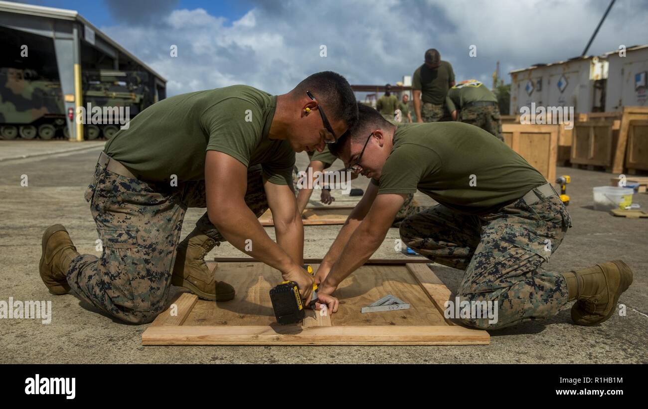 U.S. Marines with Combat Engineer Platoon, Combat Assault Company, 3rd ...