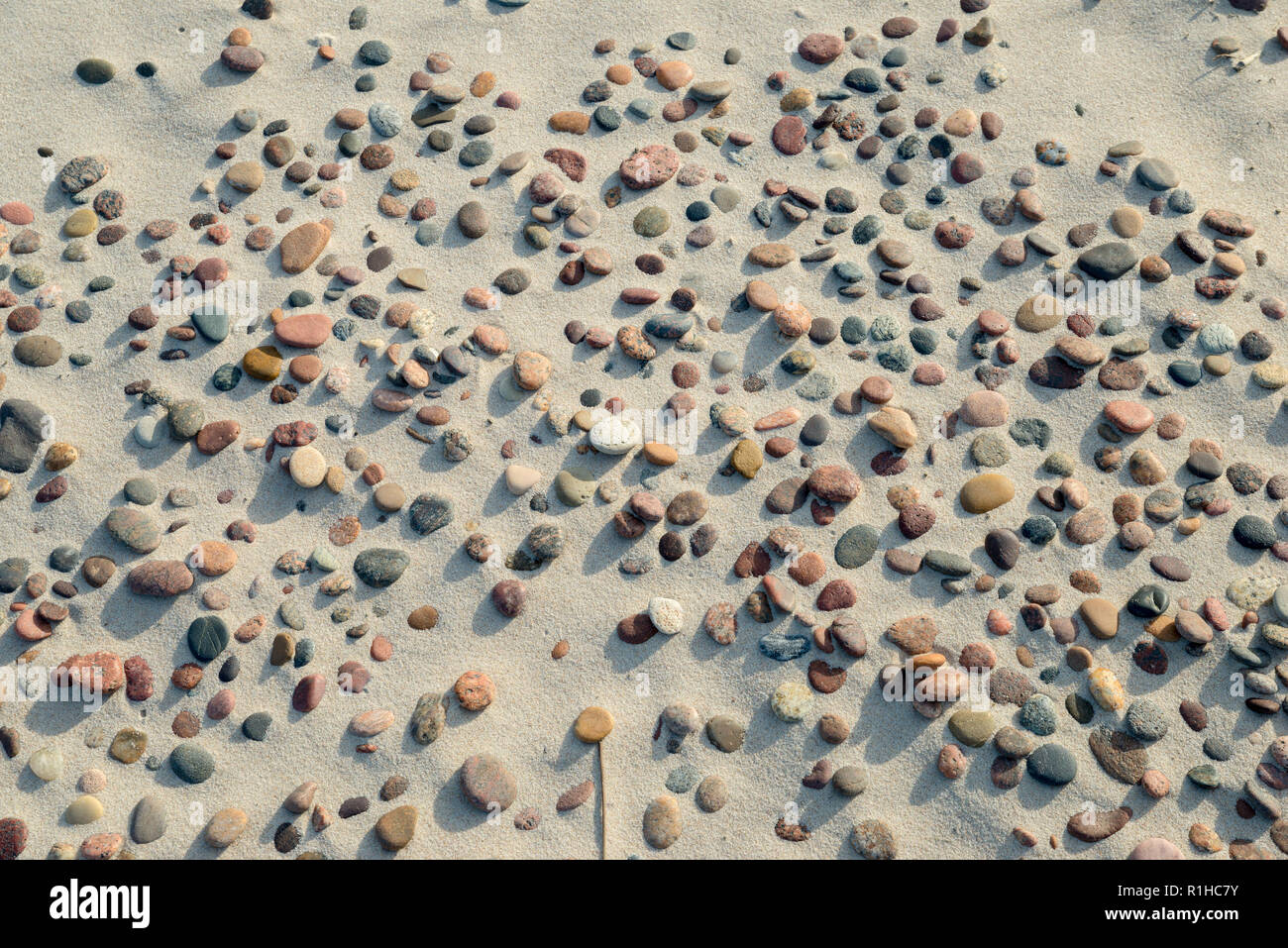 Sandy beach with pebbles and a tree hi-res stock photography and images ...