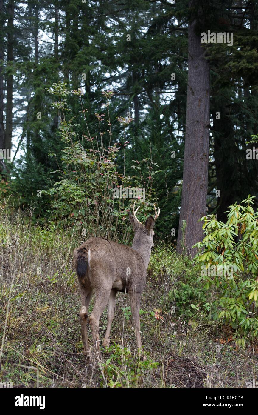 Usa standing alone hi-res stock photography and images - Alamy