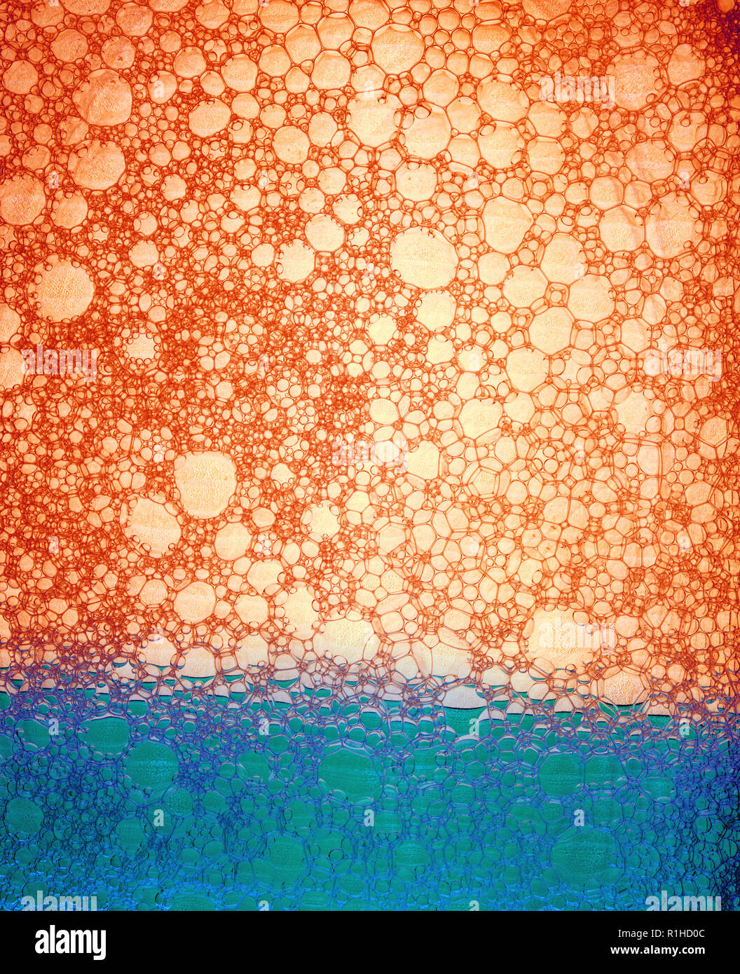 A brightly colored image of back lit bubbles Stock Photo - Alamy