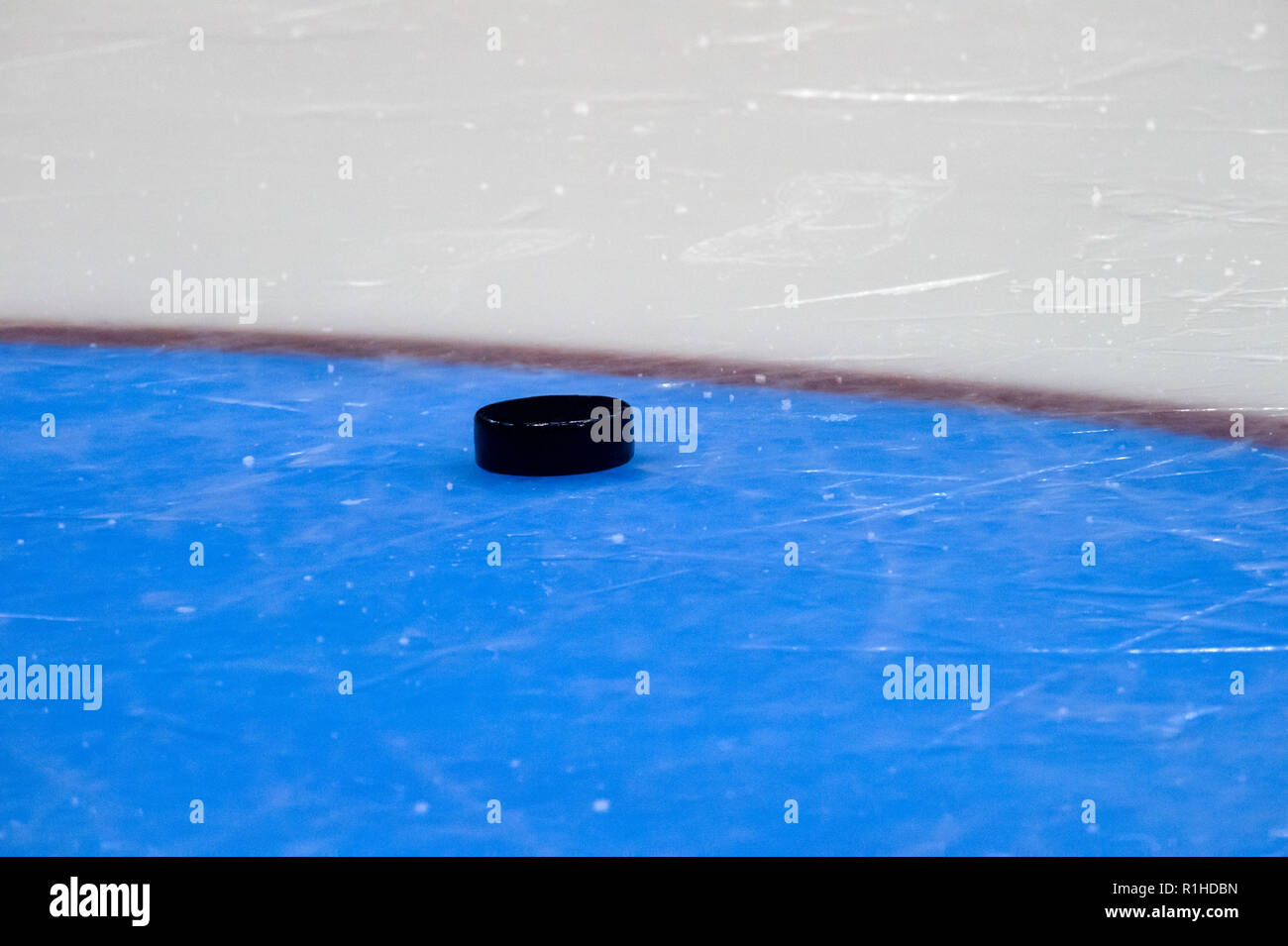 Hockey puck stand on side on goal line. Close view Stock Photo - Alamy