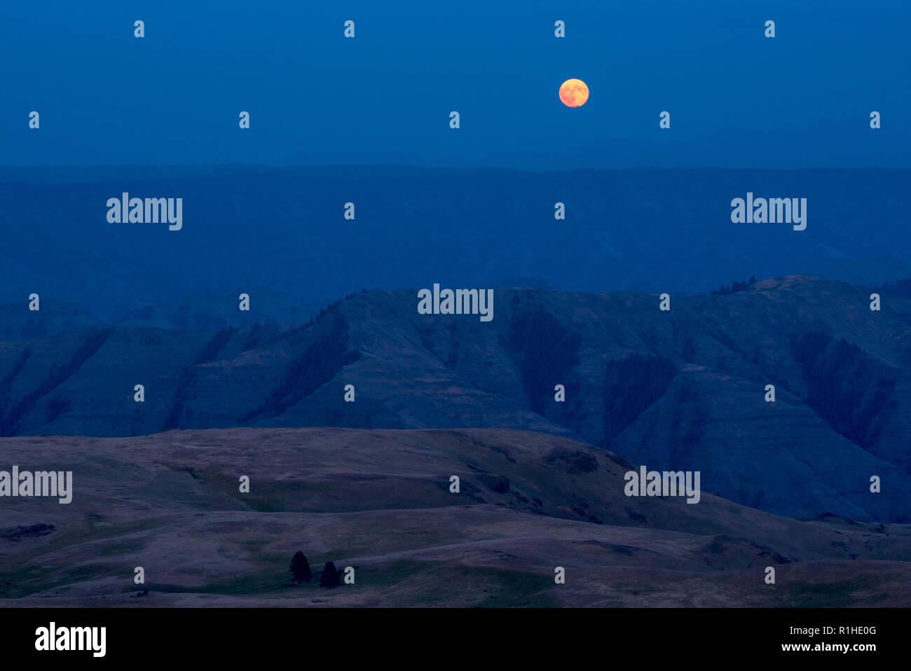 Moon devil hi-res stock photography and images - Alamy