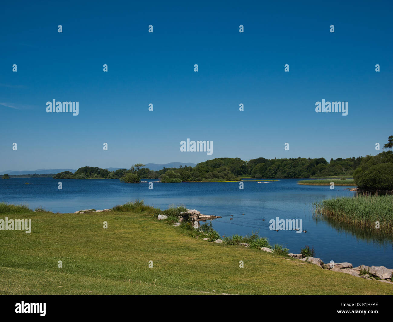 Lough Leane Lake in Killarney National Park in Ireland Stock Photo - Alamy