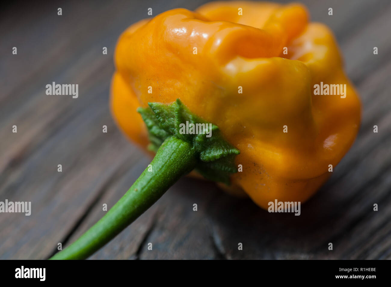 yellow scotch bonnet chili pepper close-up Stock Photo - Alamy