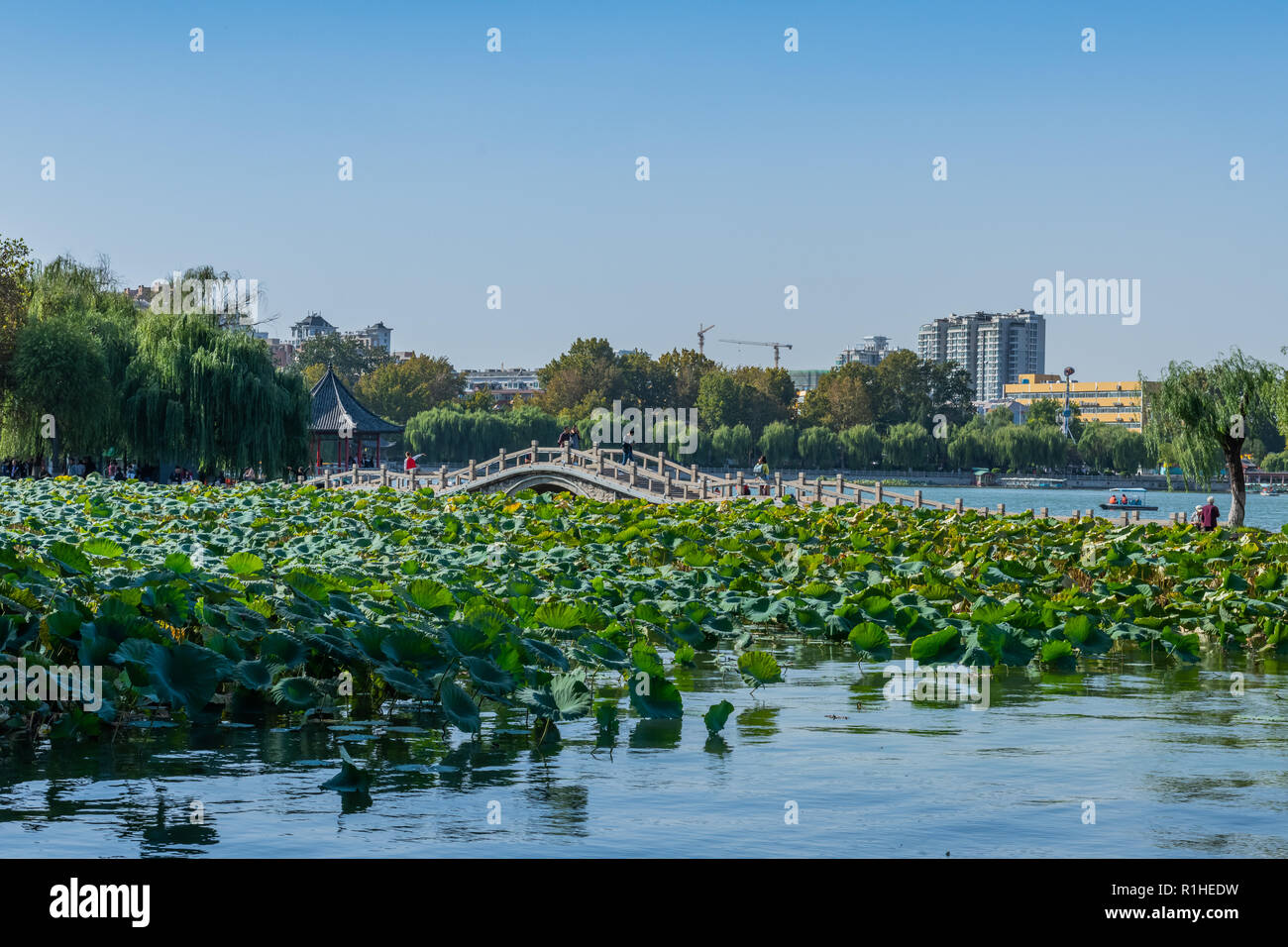 Jinan hi-res stock photography and images - Alamy