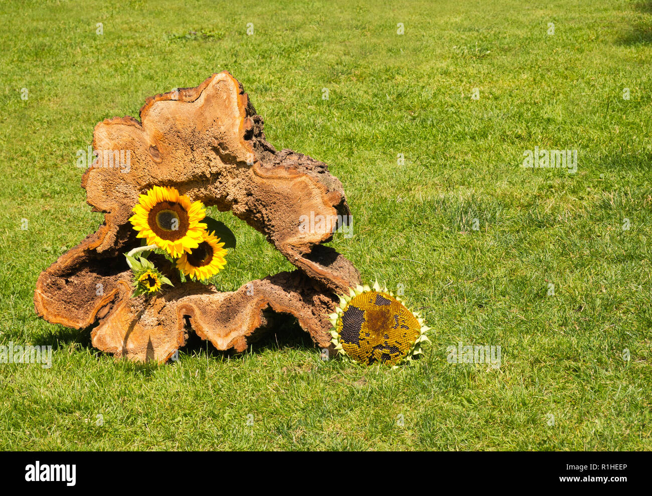 Hollow core hi-res stock photography and images - Alamy