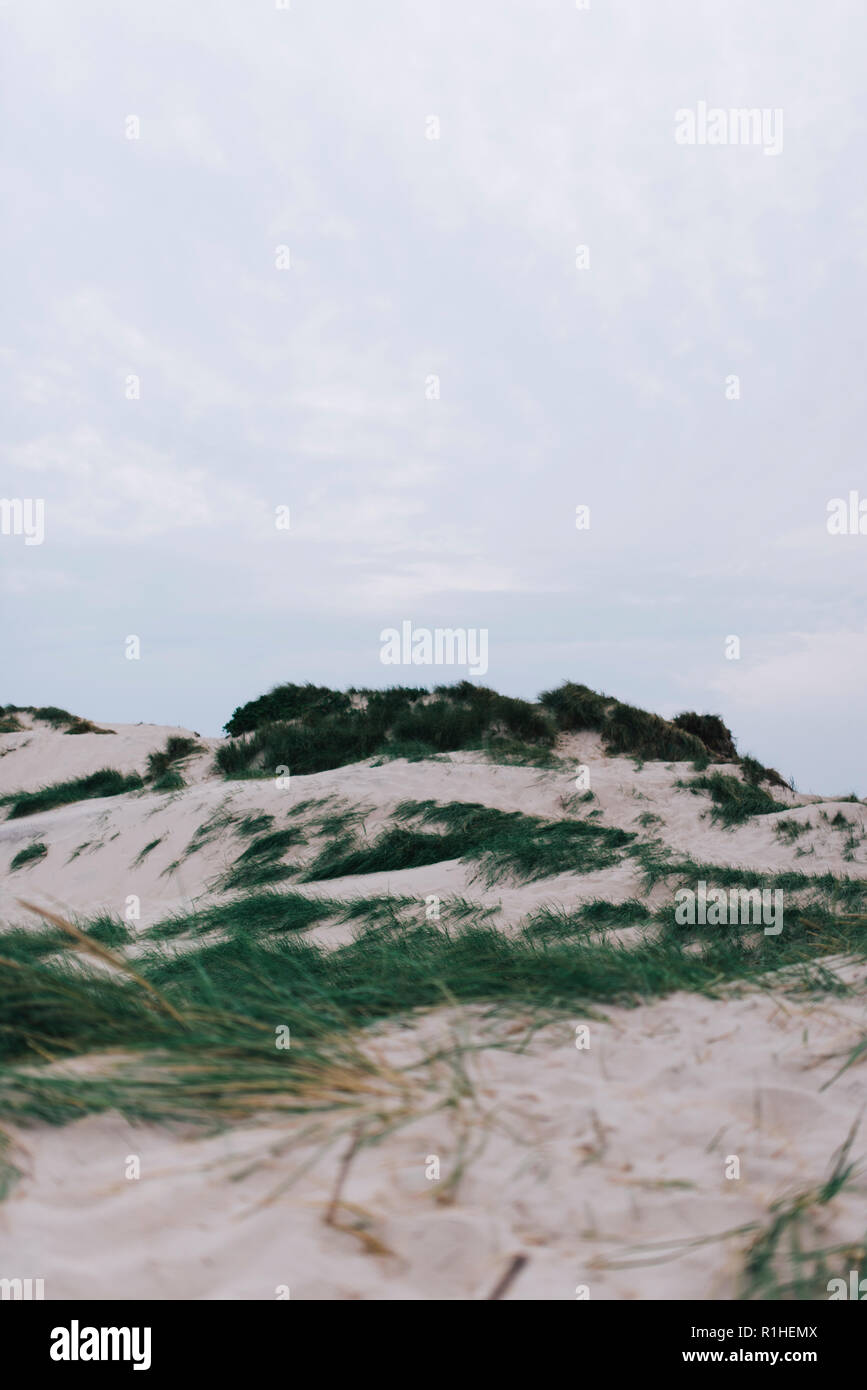 Natur am strand hi-res stock photography and images - Alamy