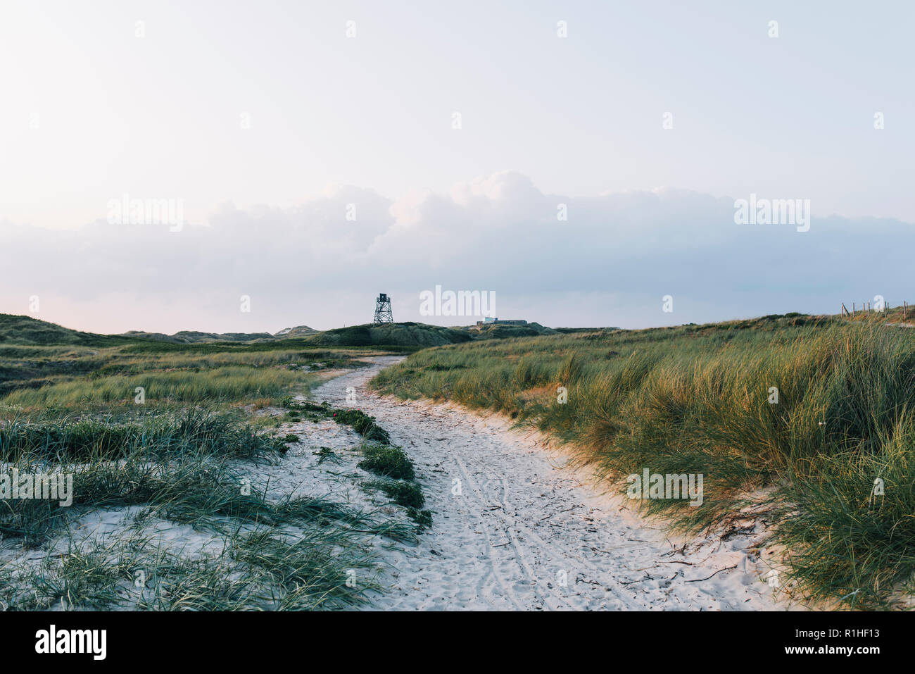 Natur am strand hi-res stock photography and images - Alamy
