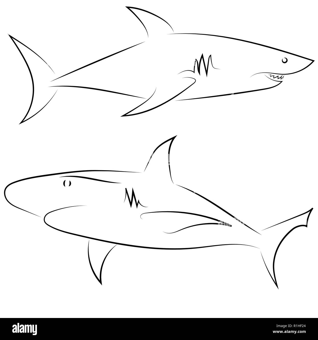Outline sharks Black and White Stock Photos & Images - Alamy