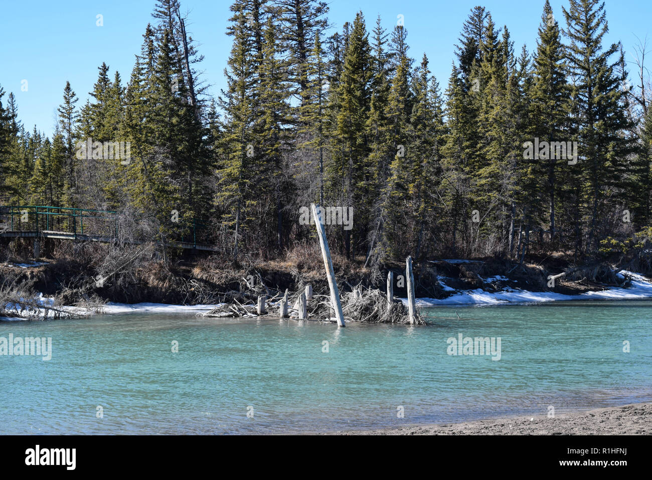 winter breaking up along the Weaselhead Stock Photo - Alamy