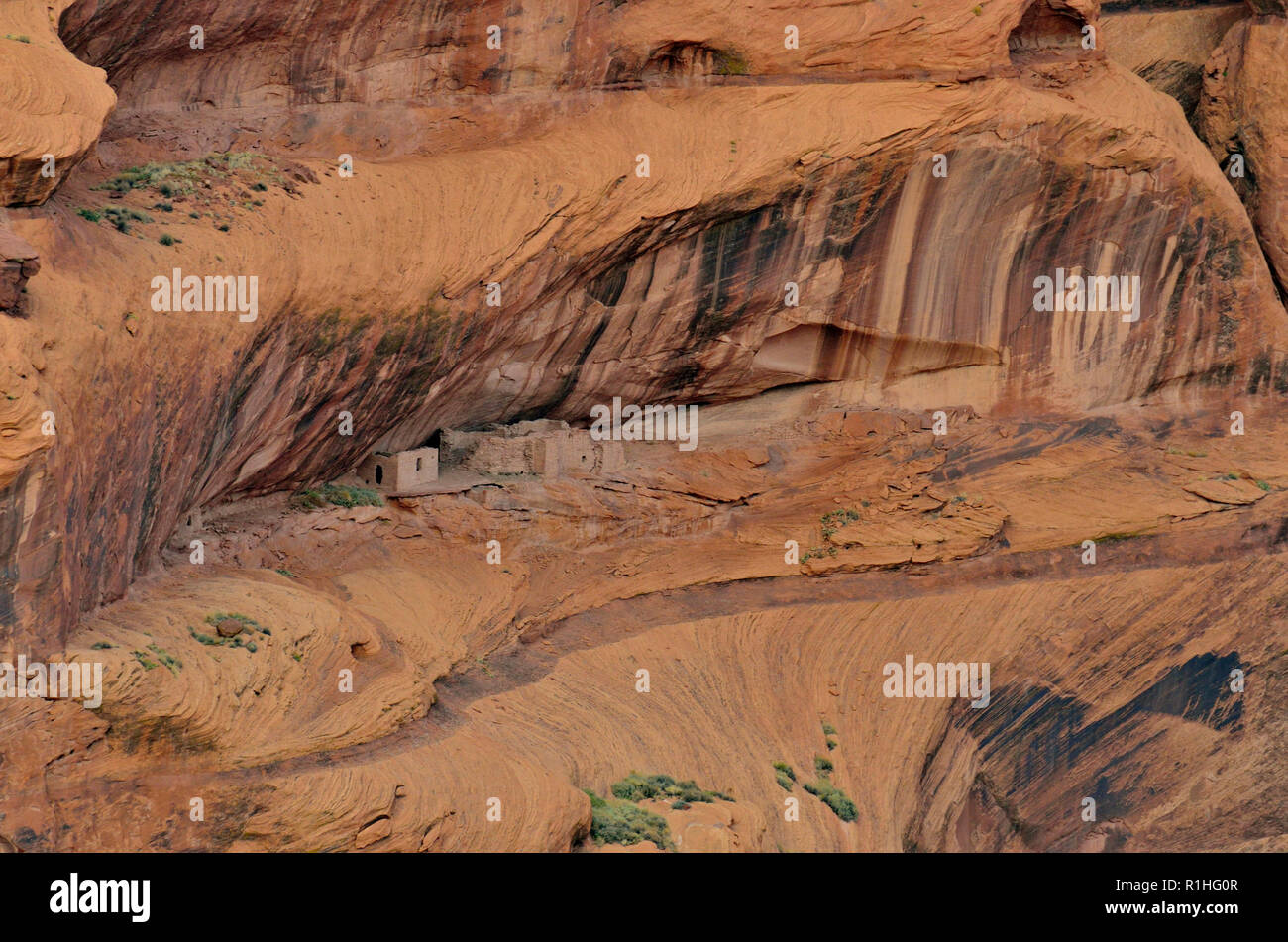 Junction Ruin, Junction Overlook, where Canyon del Muerto joins Canyon ...