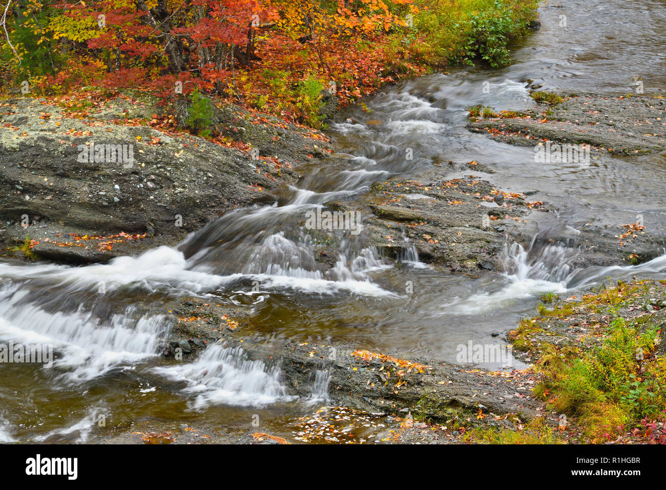 A babbling brook with colorful leaves adorning it's banks at Waterford ...