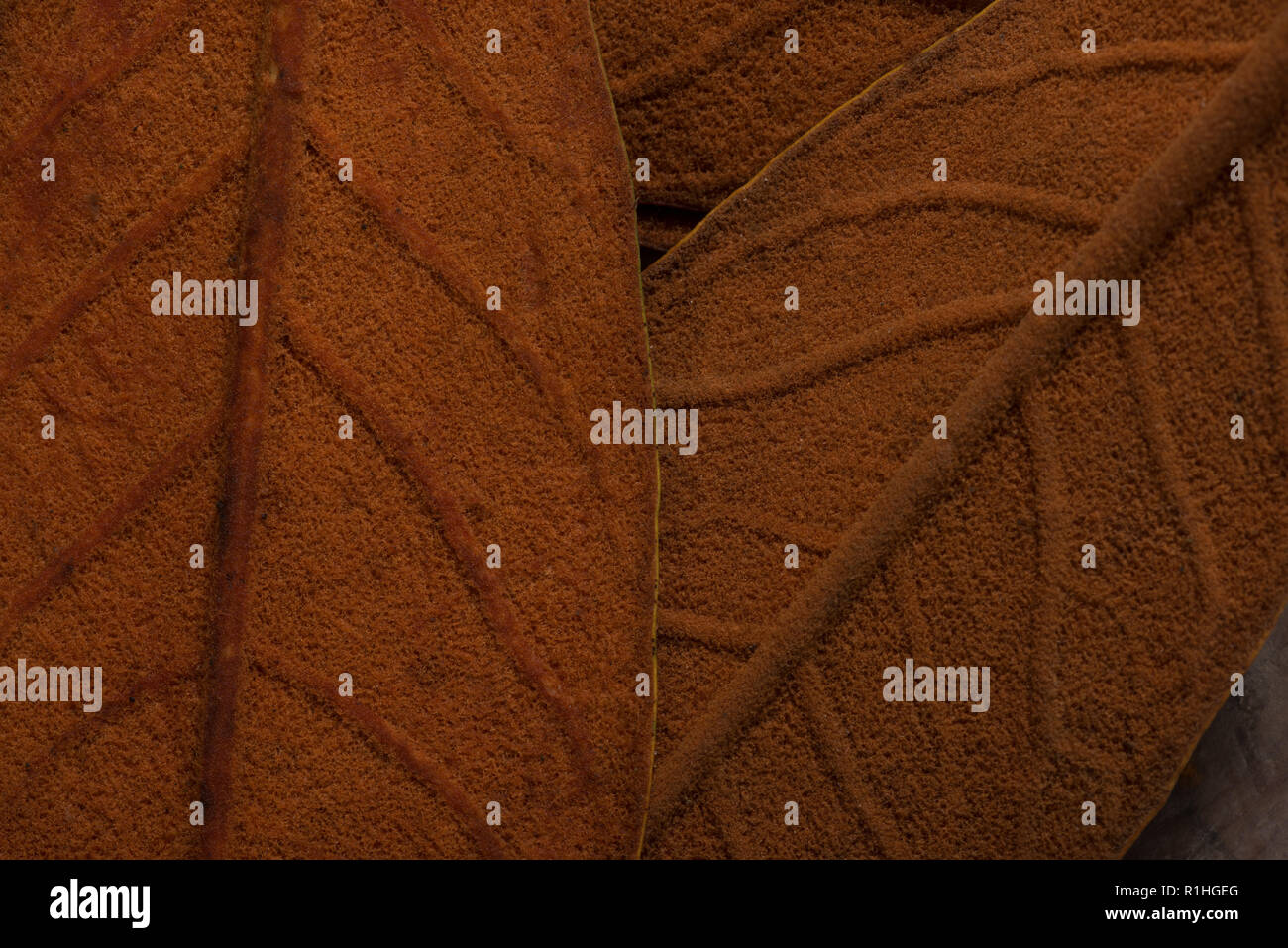 Lámina solar hi-res stock photography and images - Alamy