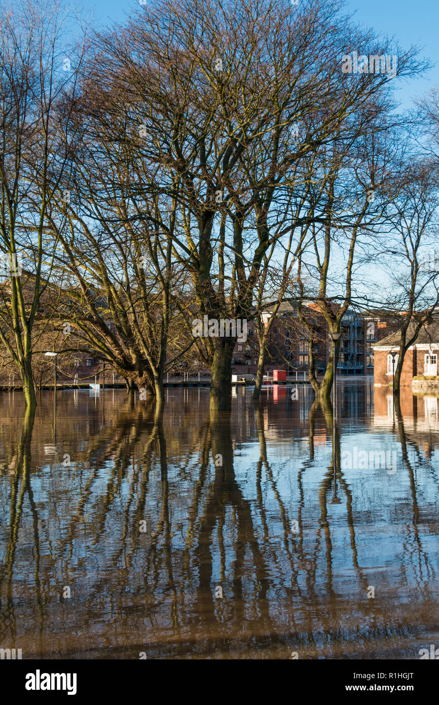 Heavy flooding of the River Ouse at Tower Gardens near Skeldergate ...