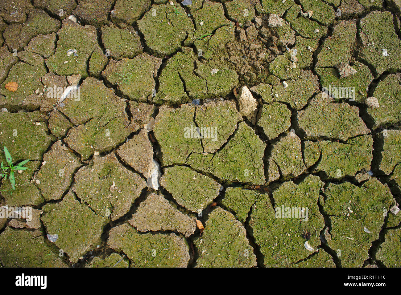 Humid climate hi-res stock photography and images - Alamy