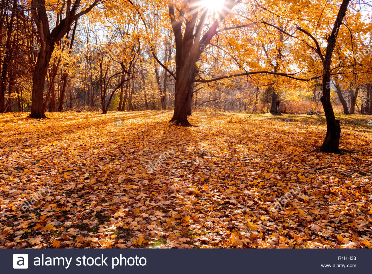 Colonel High Resolution Stock Photography and Images - Alamy