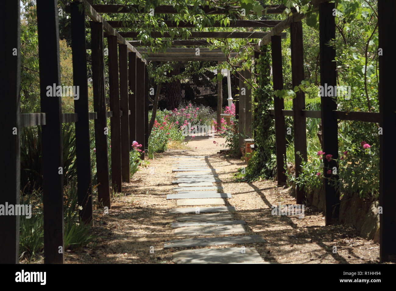 Garden path flowers australia hi-res stock photography and images - Alamy