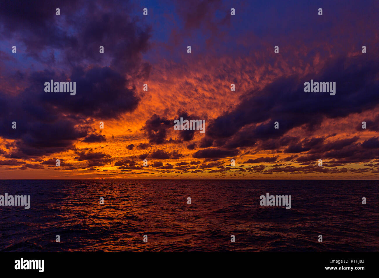 Endicott arm brown bear hi-res stock photography and images - Alamy