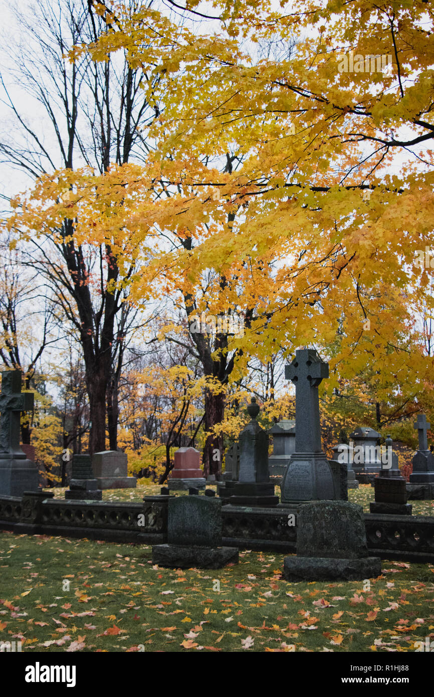 Cemetery - funerary monuments in autumn - Beechwood National Cemetery ...