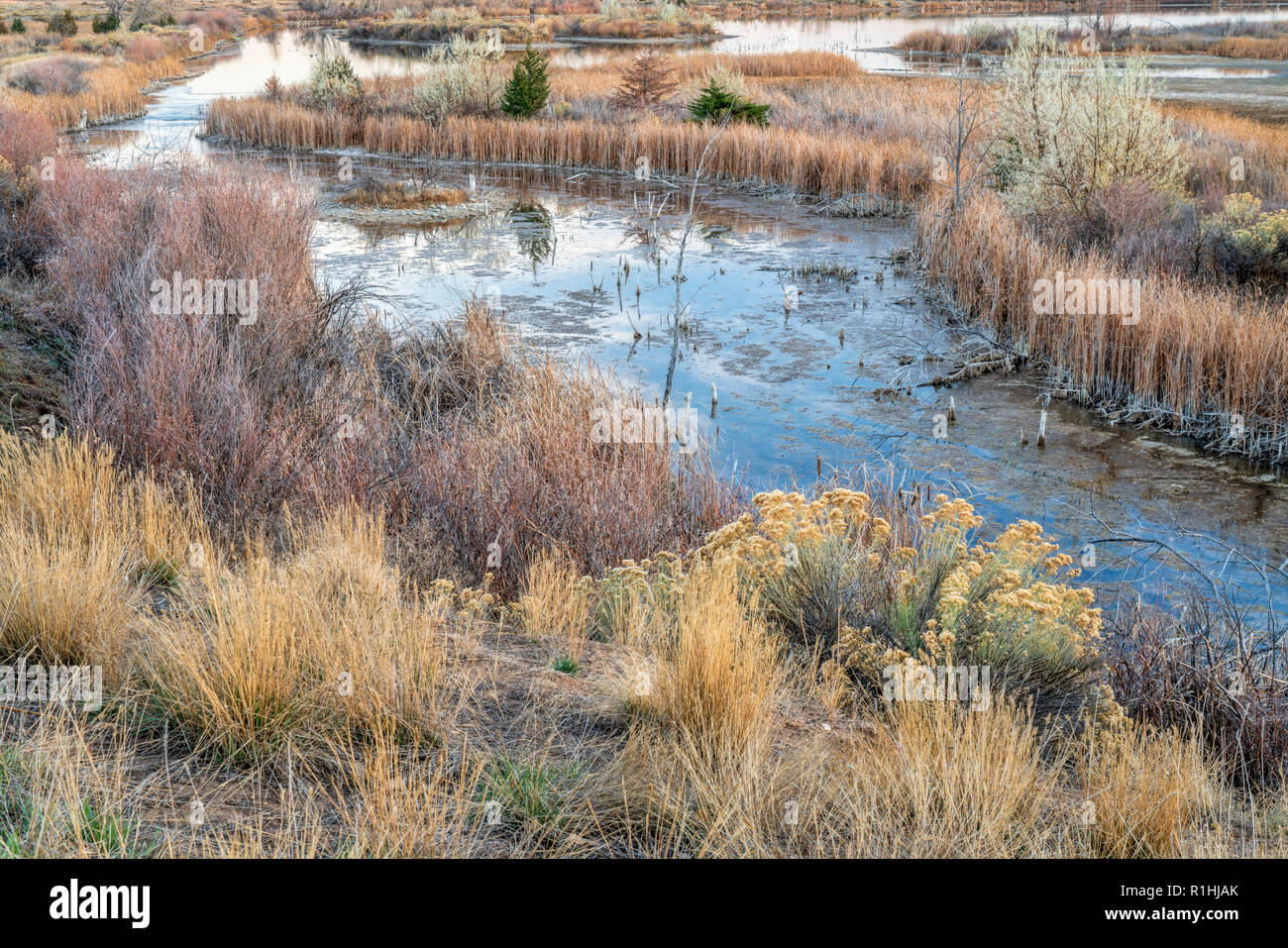 fall scenery in one of natural areas in Fort Collins, Colorado along ...