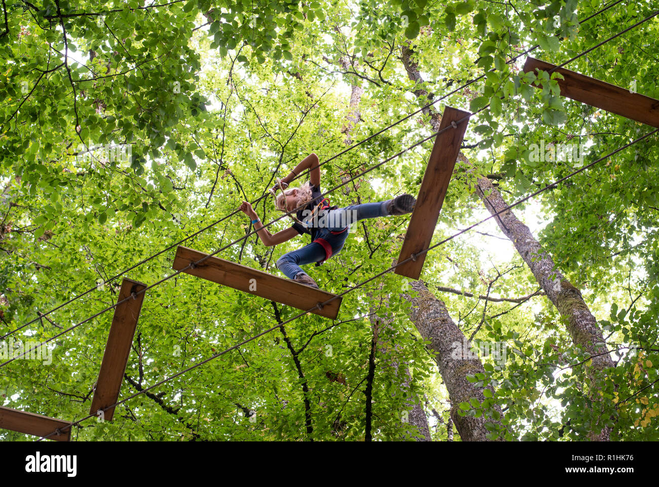 Joy climbing trees hi-res stock photography and images - Alamy