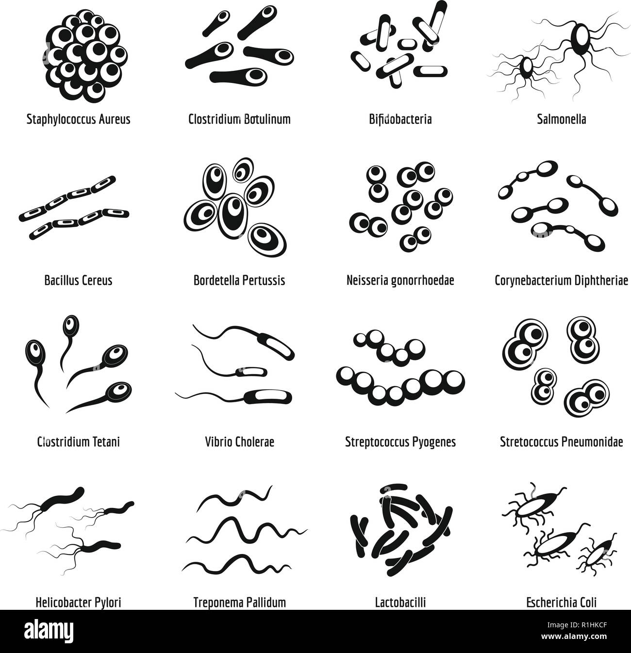 Viruses and bacteria icons set. Simple illustration of 16 viruses and ...