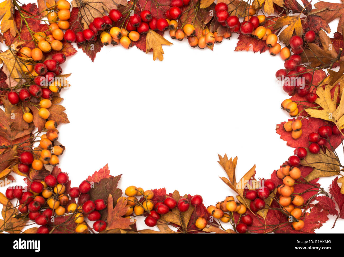 Autumn background with fall leave and fruits on white background Stock ...