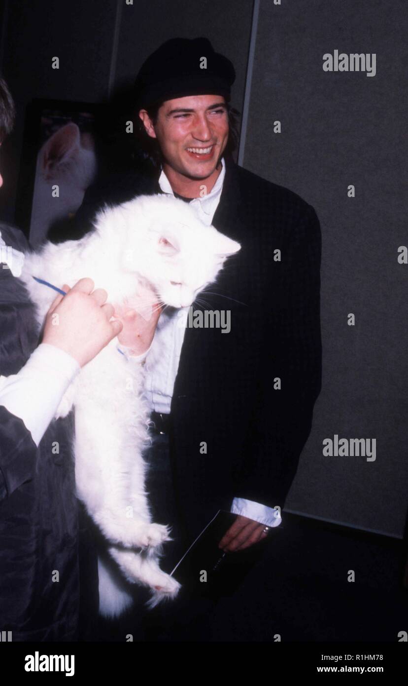 BEVERLY HILLS, CA - DECEMBER 21: Actor Billy Wirth attends the ...