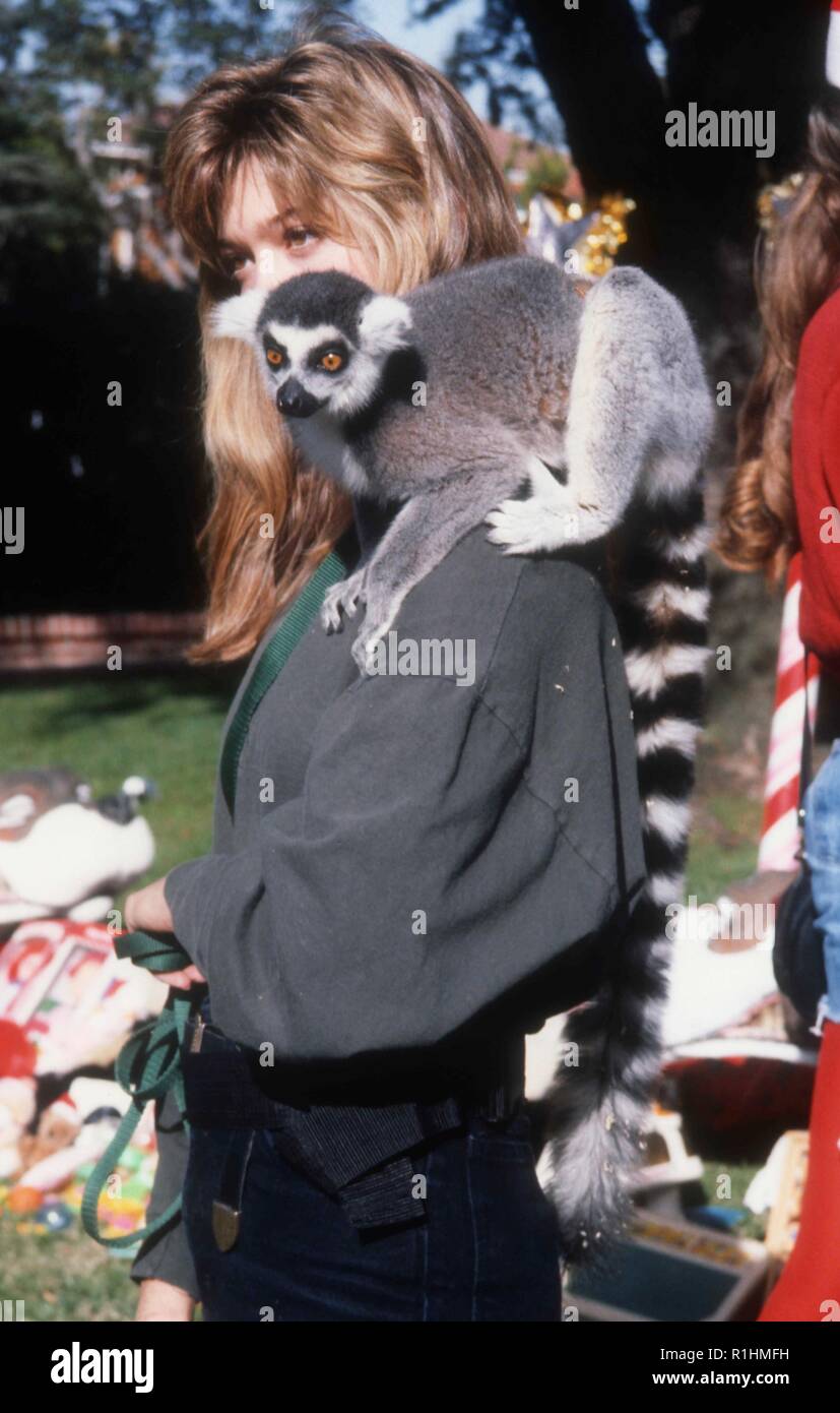 California of lemur hi-res stock photography and images - Alamy