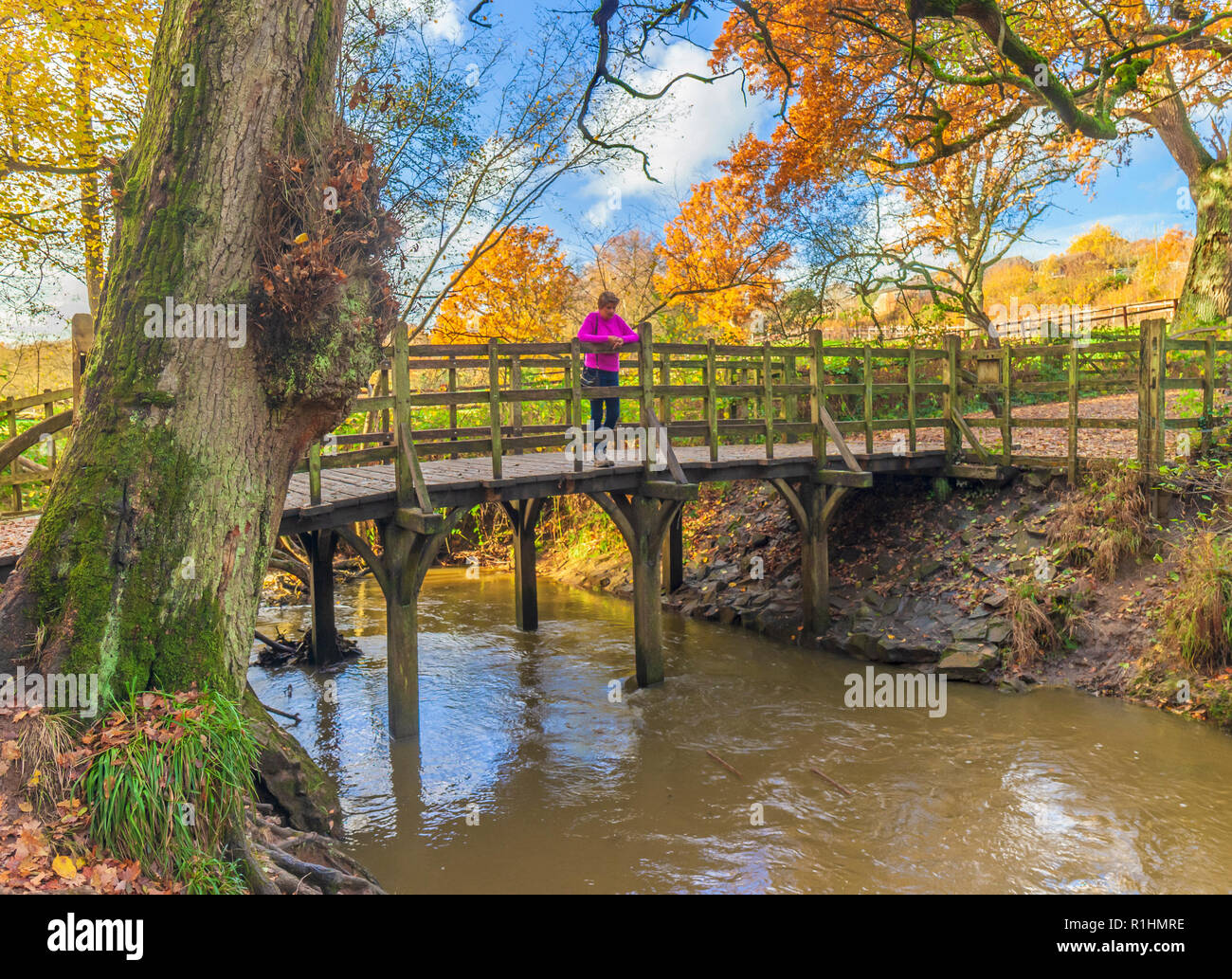 Pooh sticks bridge ashdown forest hi-res stock photography and images ...