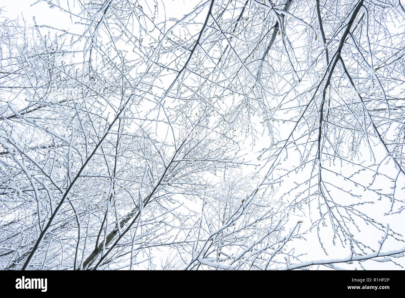 Ice melting spring china hi-res stock photography and images - Alamy