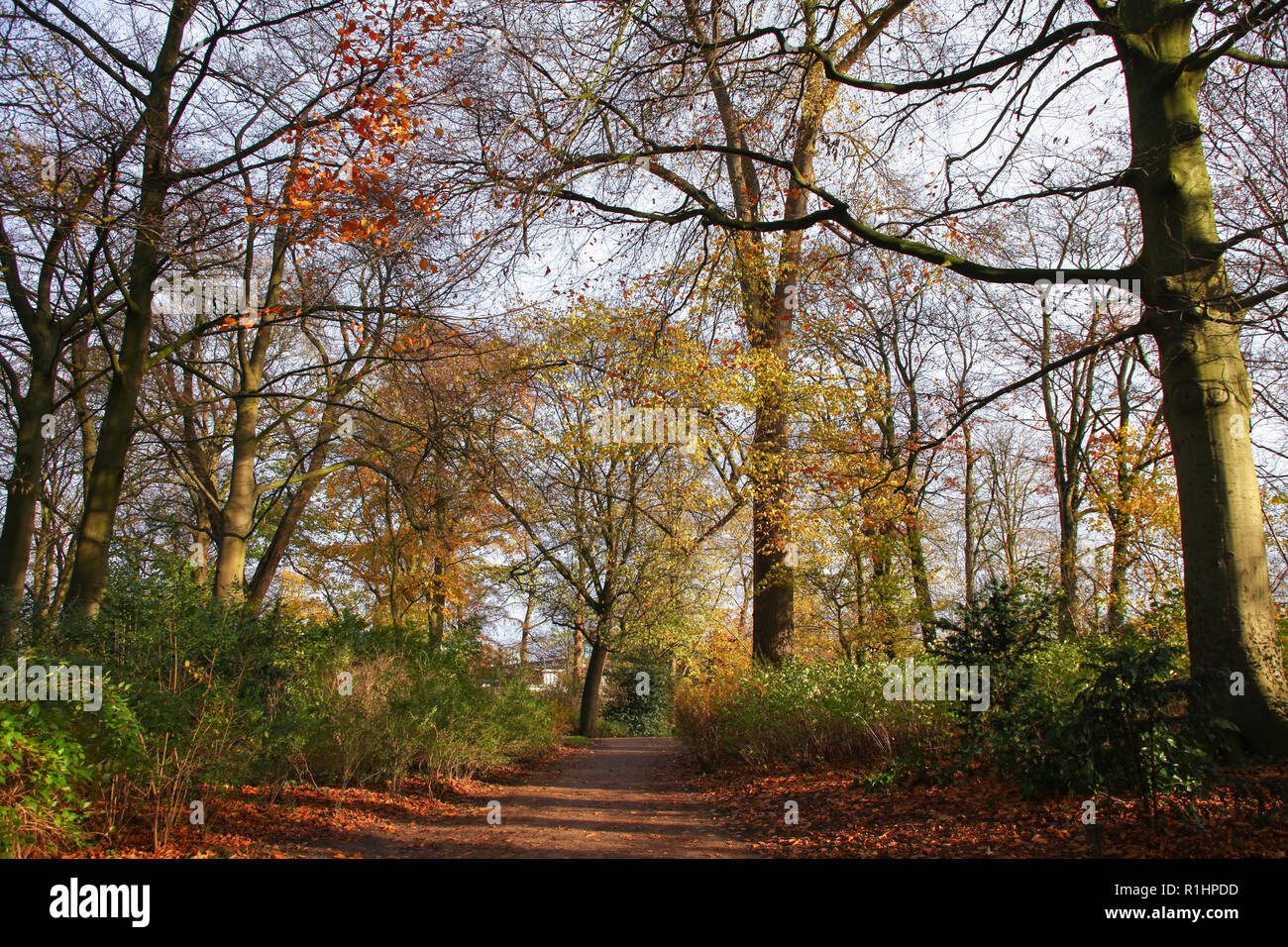Beautiful colors in park Stock Photo - Alamy