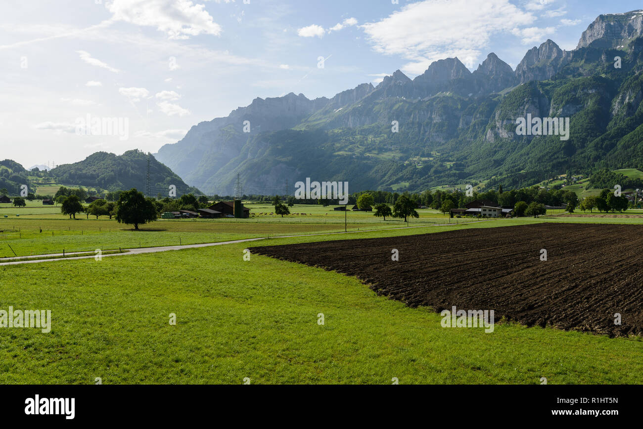 Typical farm in the swiss alps hi-res stock photography and images - Alamy