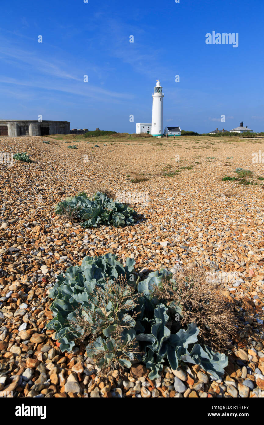 Hurst Point Lighthouse & Castle, Keyhaven, Hampshire, England, United ...
