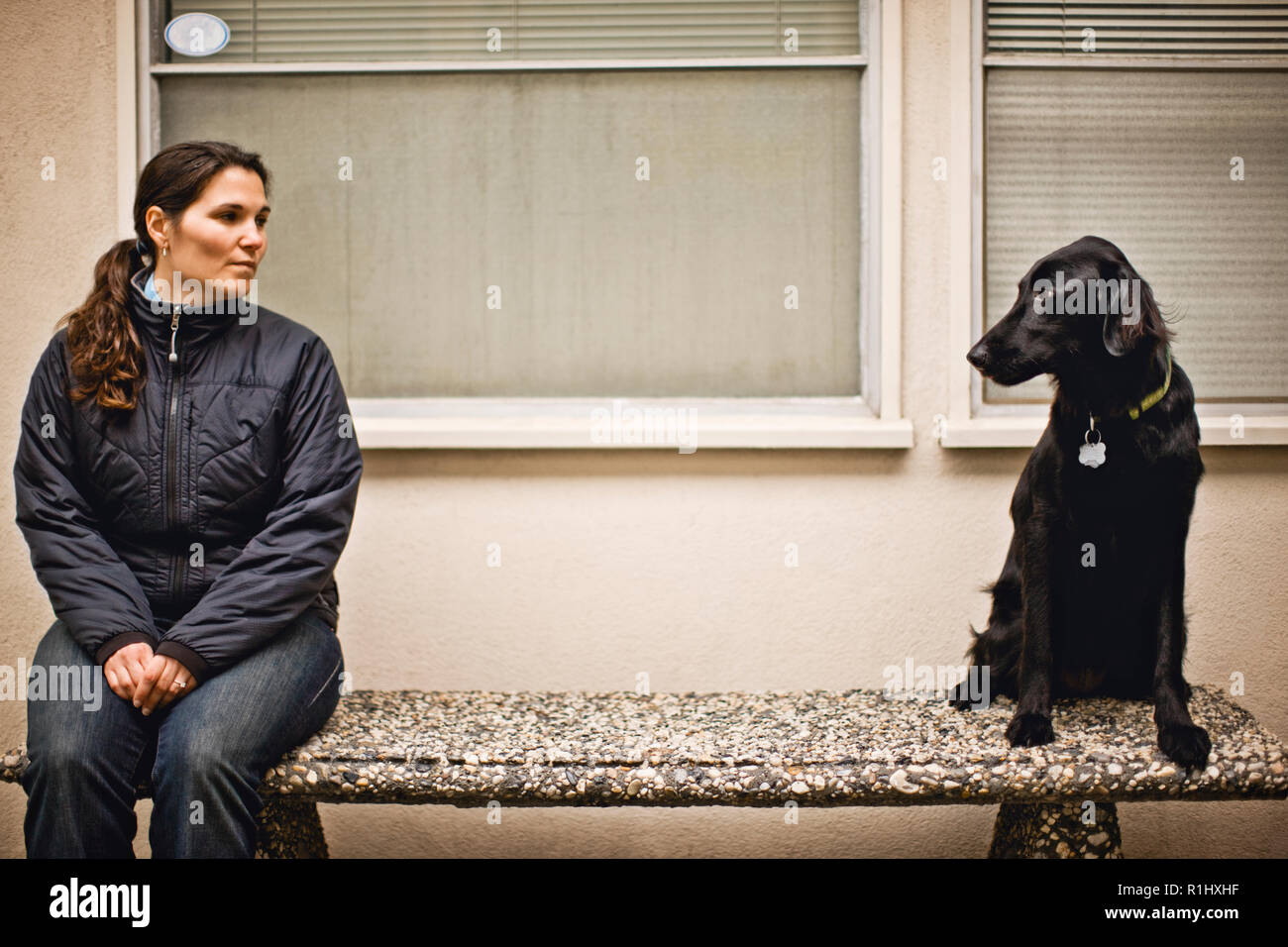 Dog sitting on bench with owner Stock Photo - Alamy