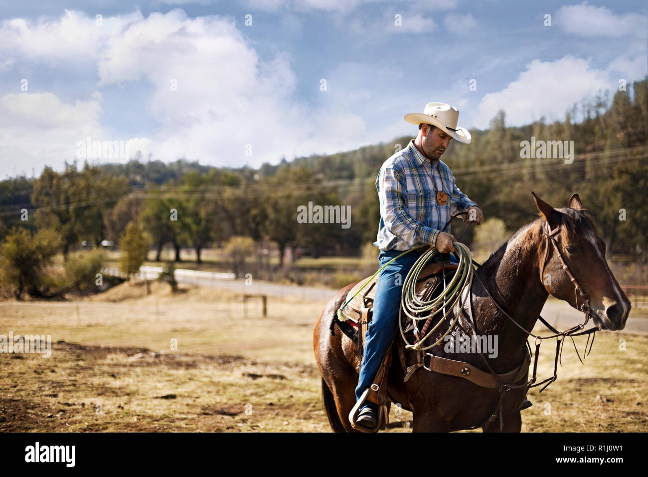 Cowboy with lasso riding horseback on a ranch Stock Photo - Alamy