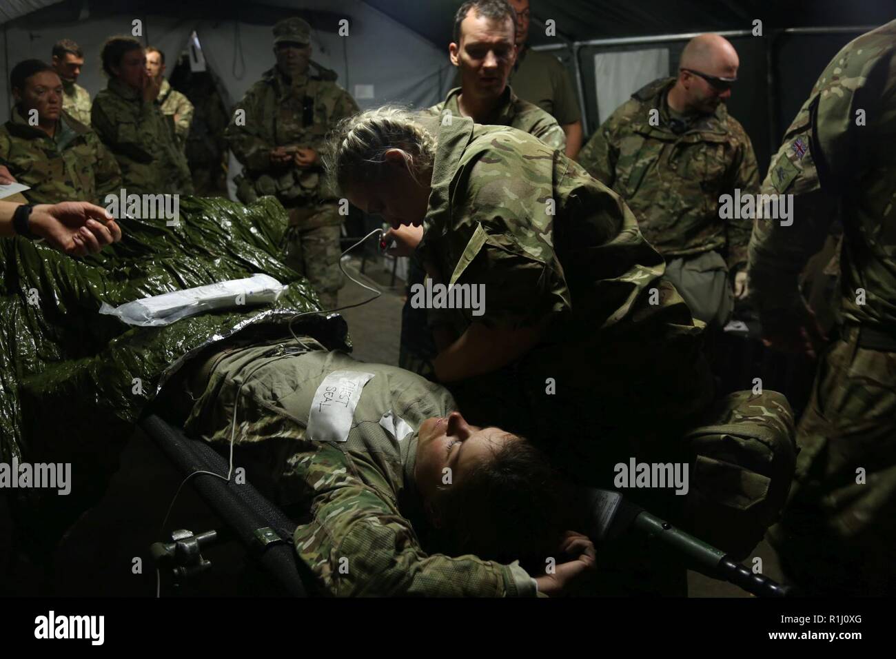 16th medical regiment hi-res stock photography and images - Alamy