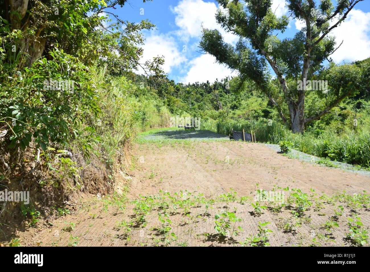 Good condition soil hi-res stock photography and images - Alamy