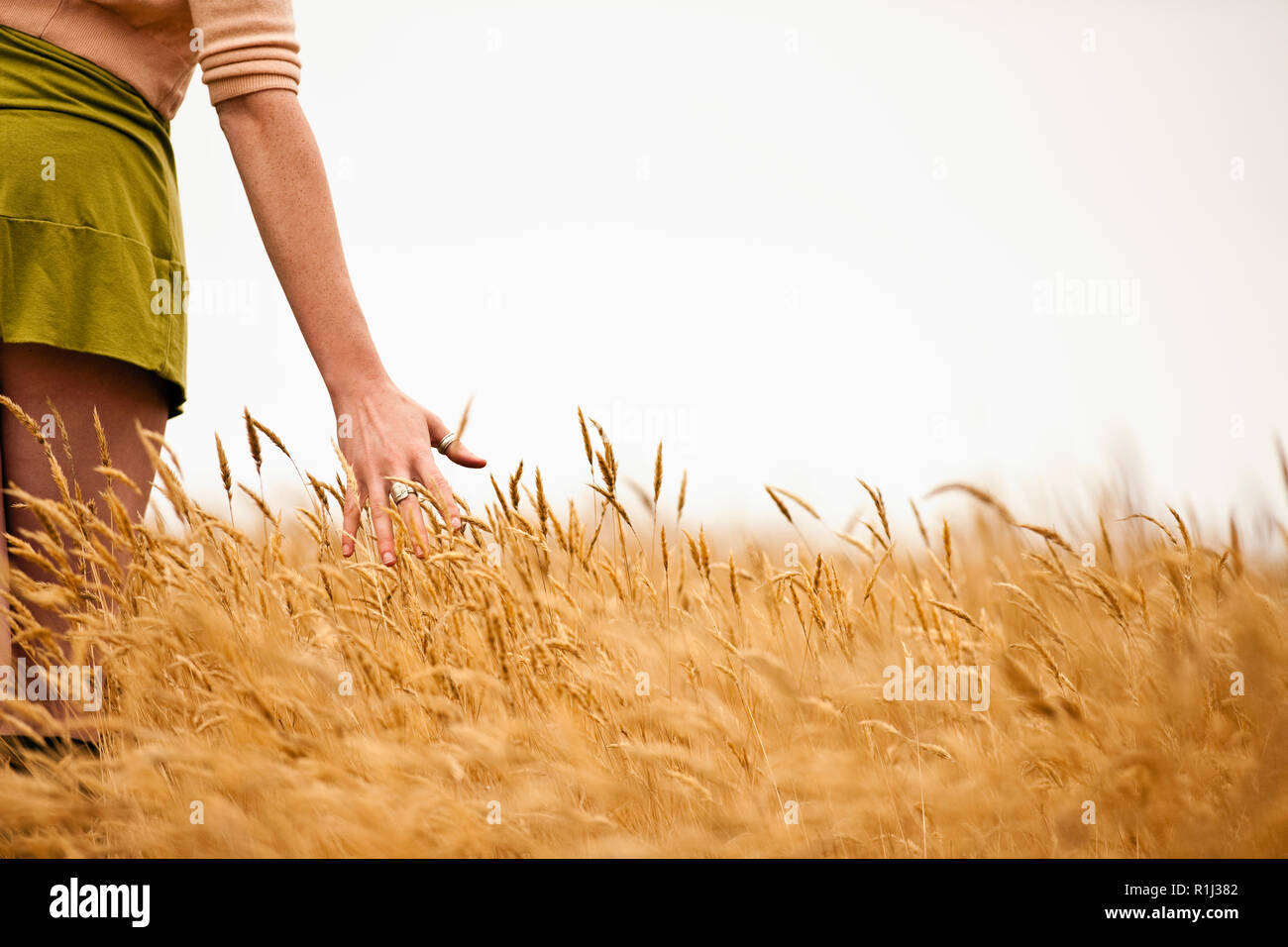 Adult walking through paddock hi-res stock photography and images - Alamy