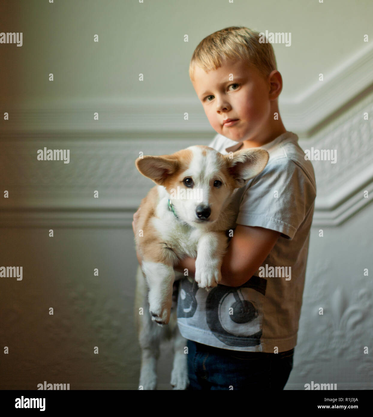 Portrait of a young boy and his dog Stock Photo - Alamy