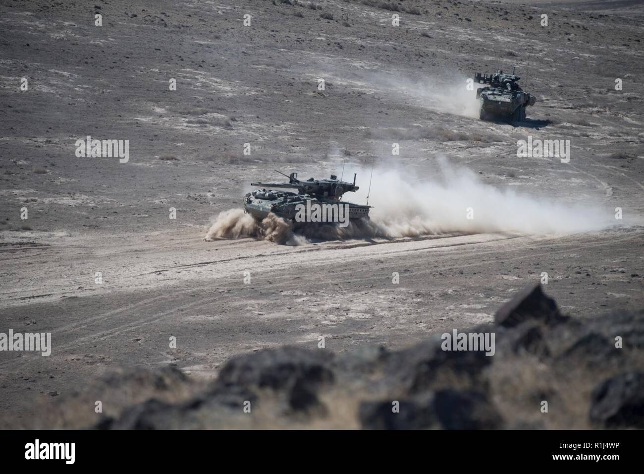 Strykers assigned to 8-1 cavalry, 2-2 Stryker Brigade Combat Team (SBCT ...