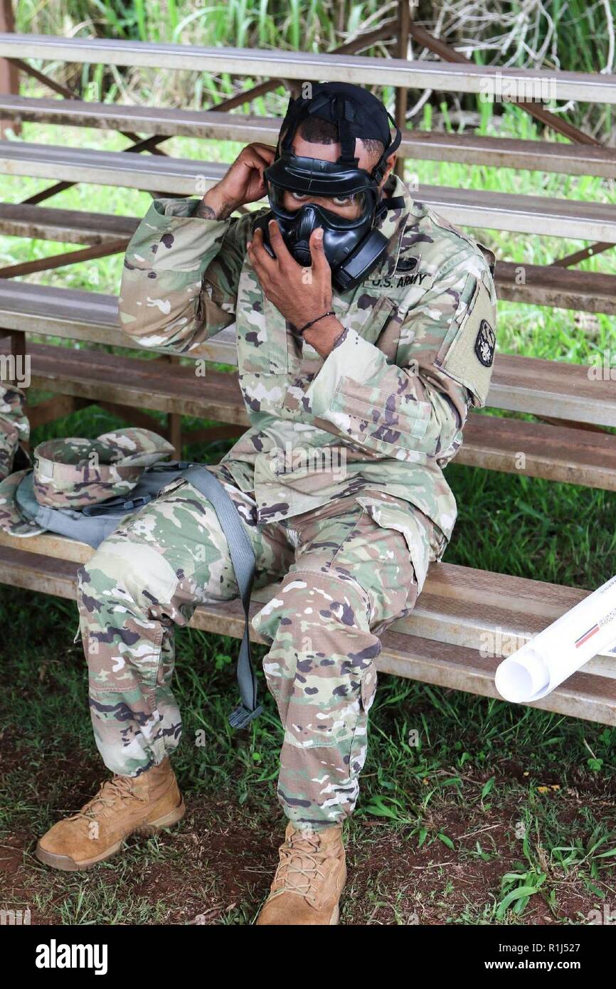 A Soldier assigned to the 94th Army Air and Missile Defense Command ...