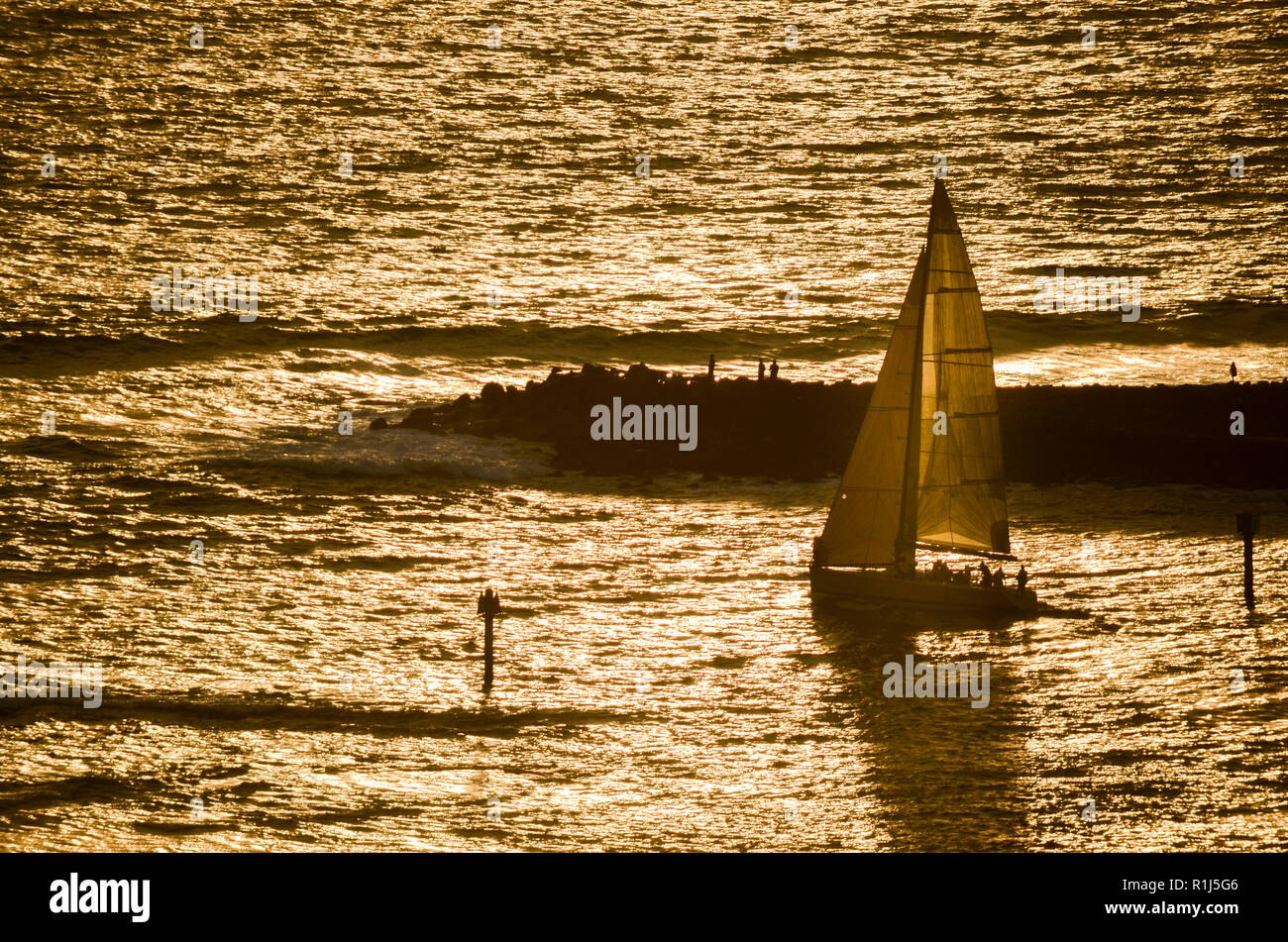 Sailboat headed out at sunset with Magic Island, Oahu, Hawaii in the ...