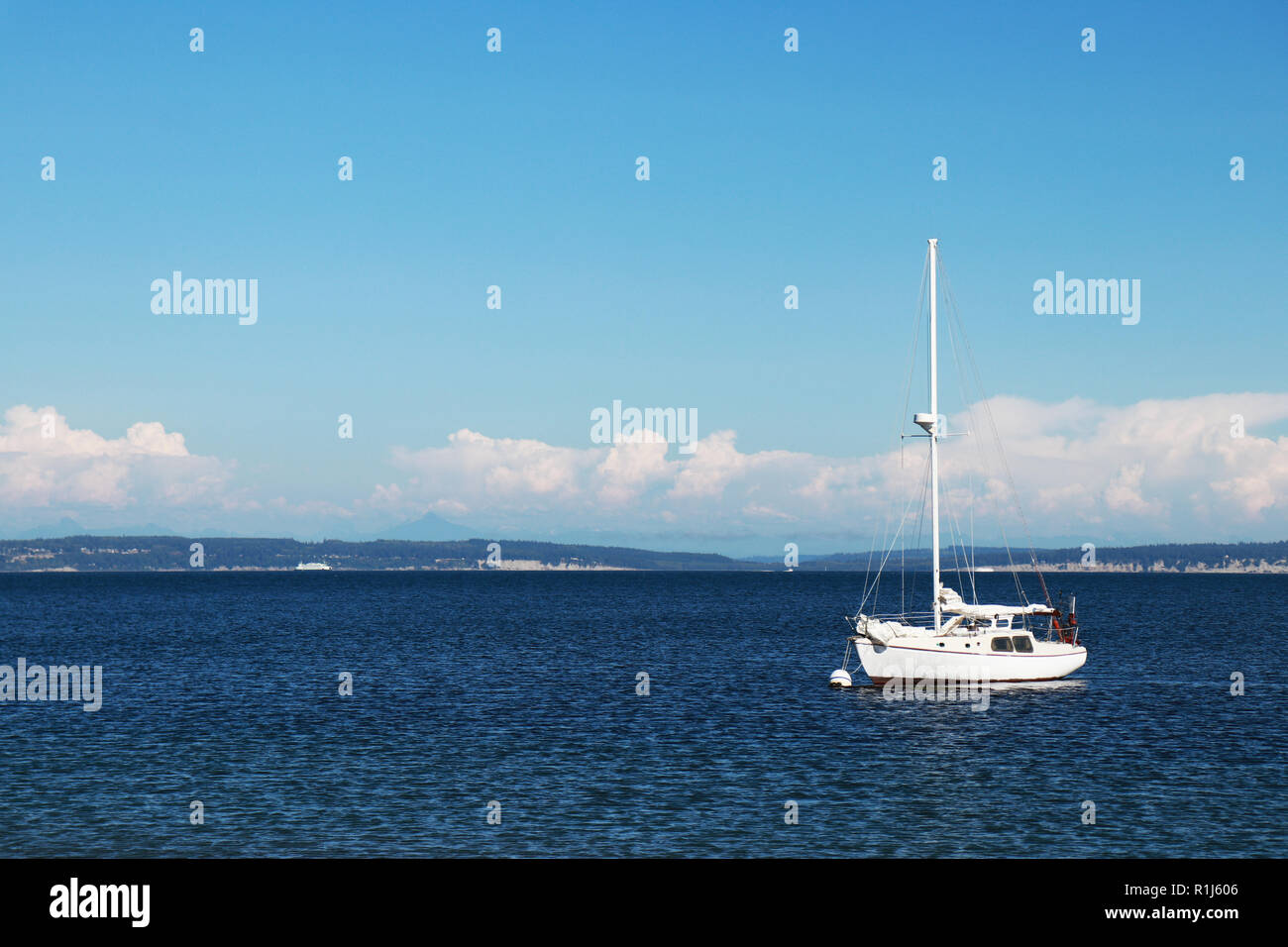 Sailboat floating on the ocean Stock Photo - Alamy