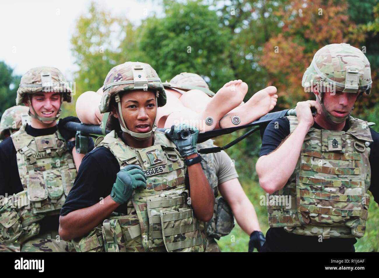 10th mtn div hi-res stock photography and images - Alamy