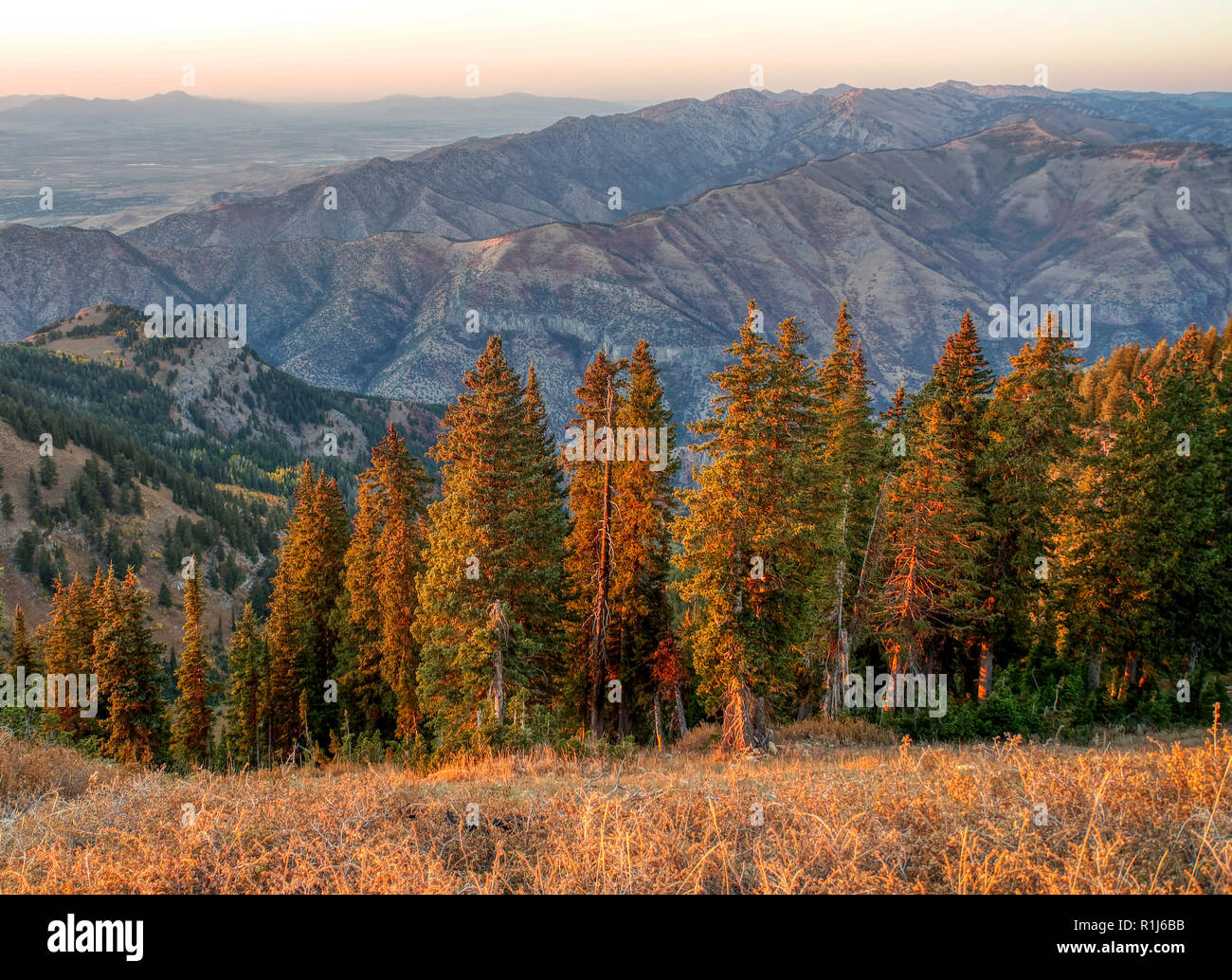Logan mountain hi-res stock photography and images - Alamy