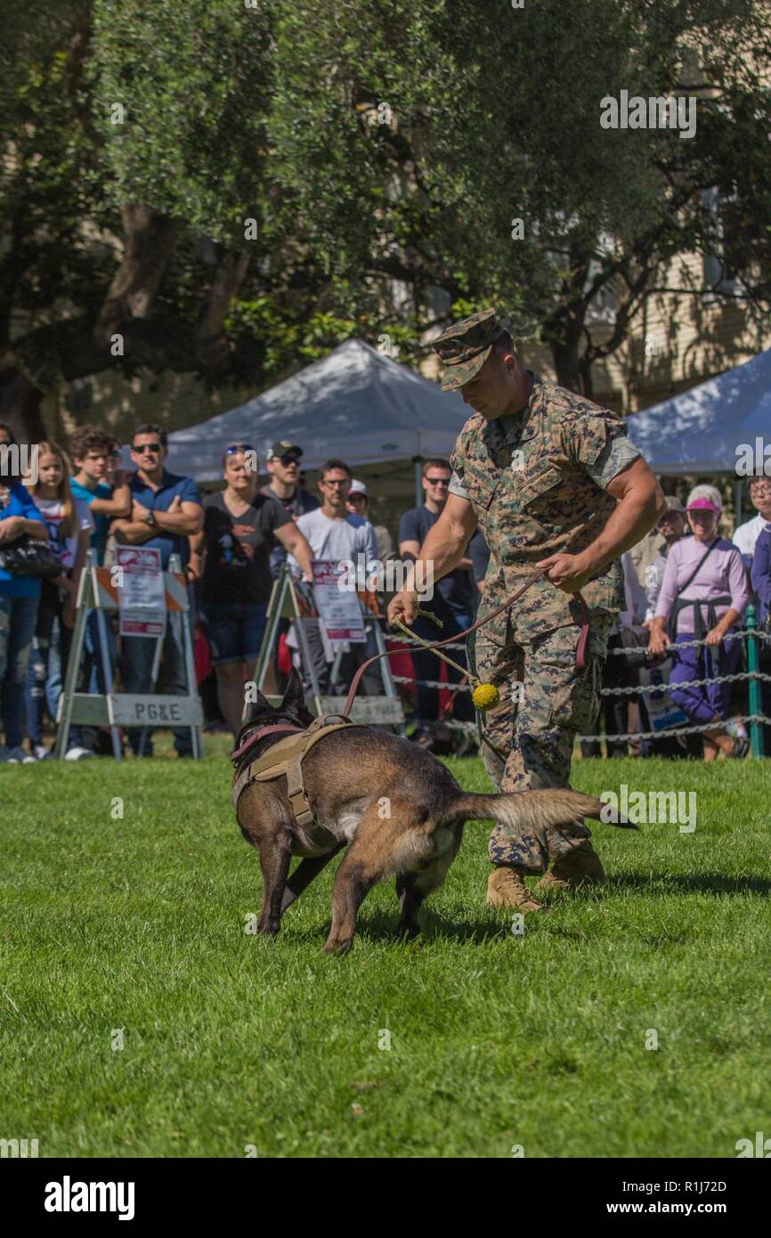 Military search and rescue dogs hi-res stock photography and images - Alamy