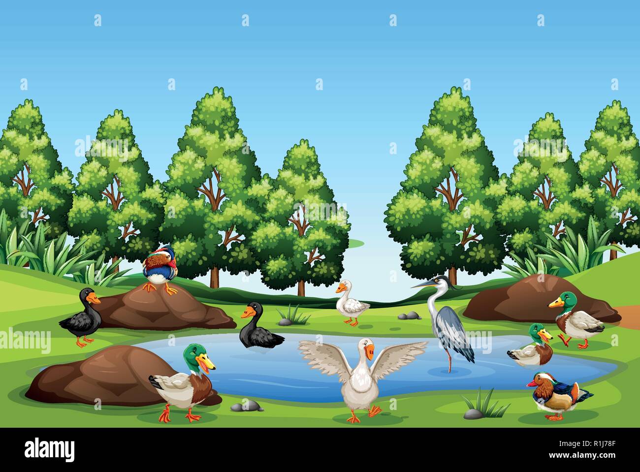 Many bird in nature illustration Stock Vector Image & Art - Alamy